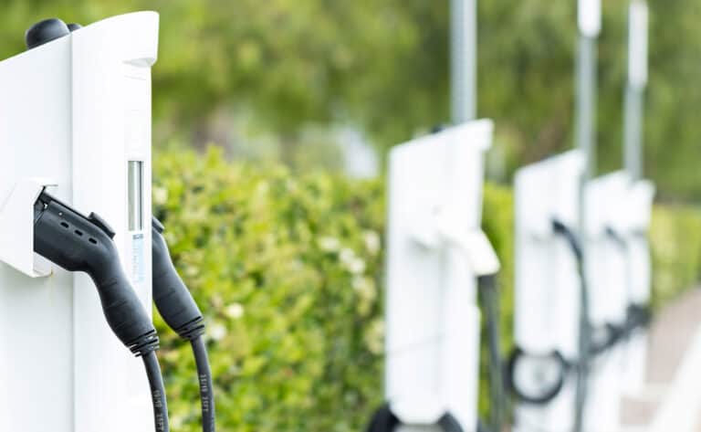 Lucy Buffett's LuLu's - Barefoot Landing